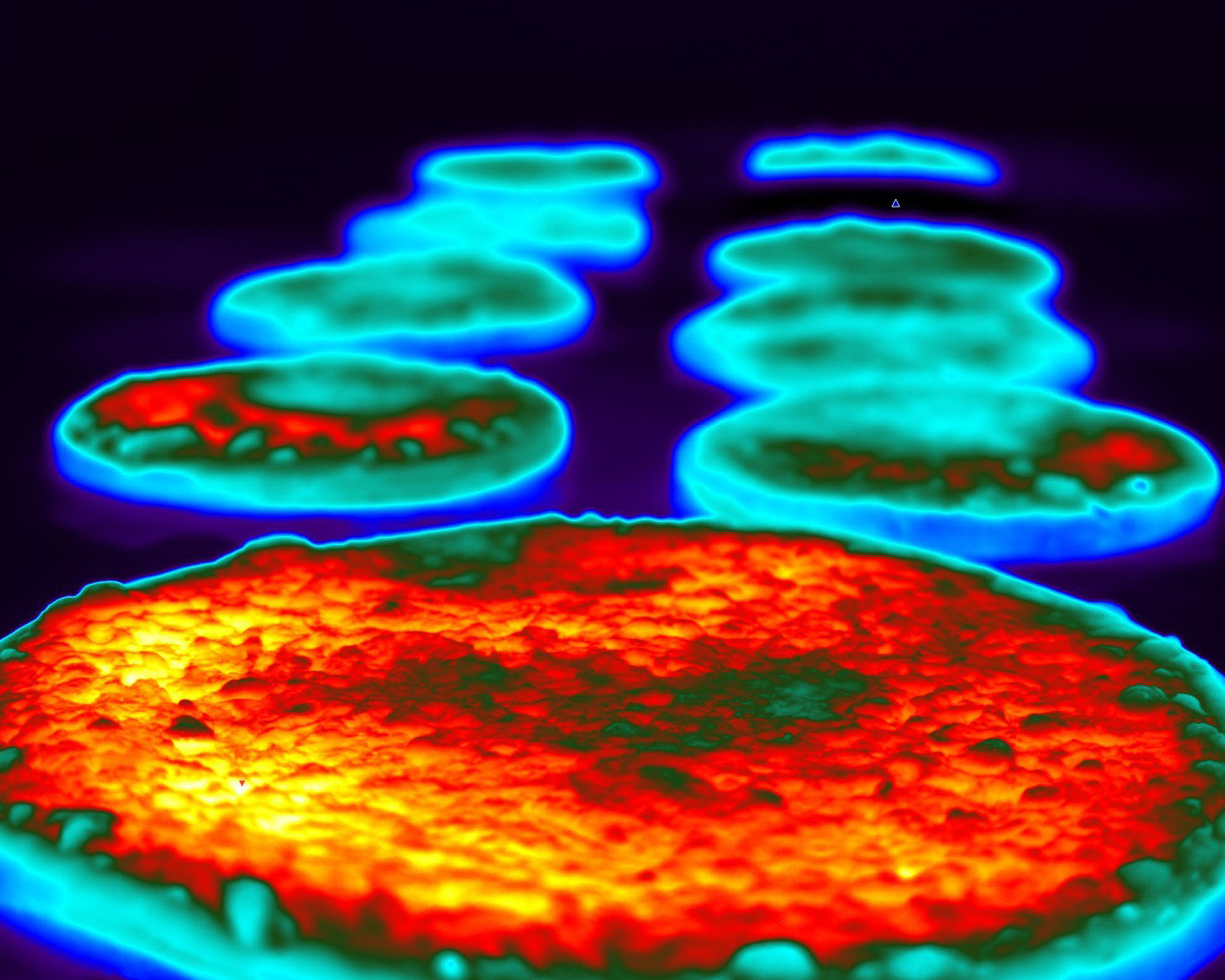 Thermal Imaging in the Food Industry