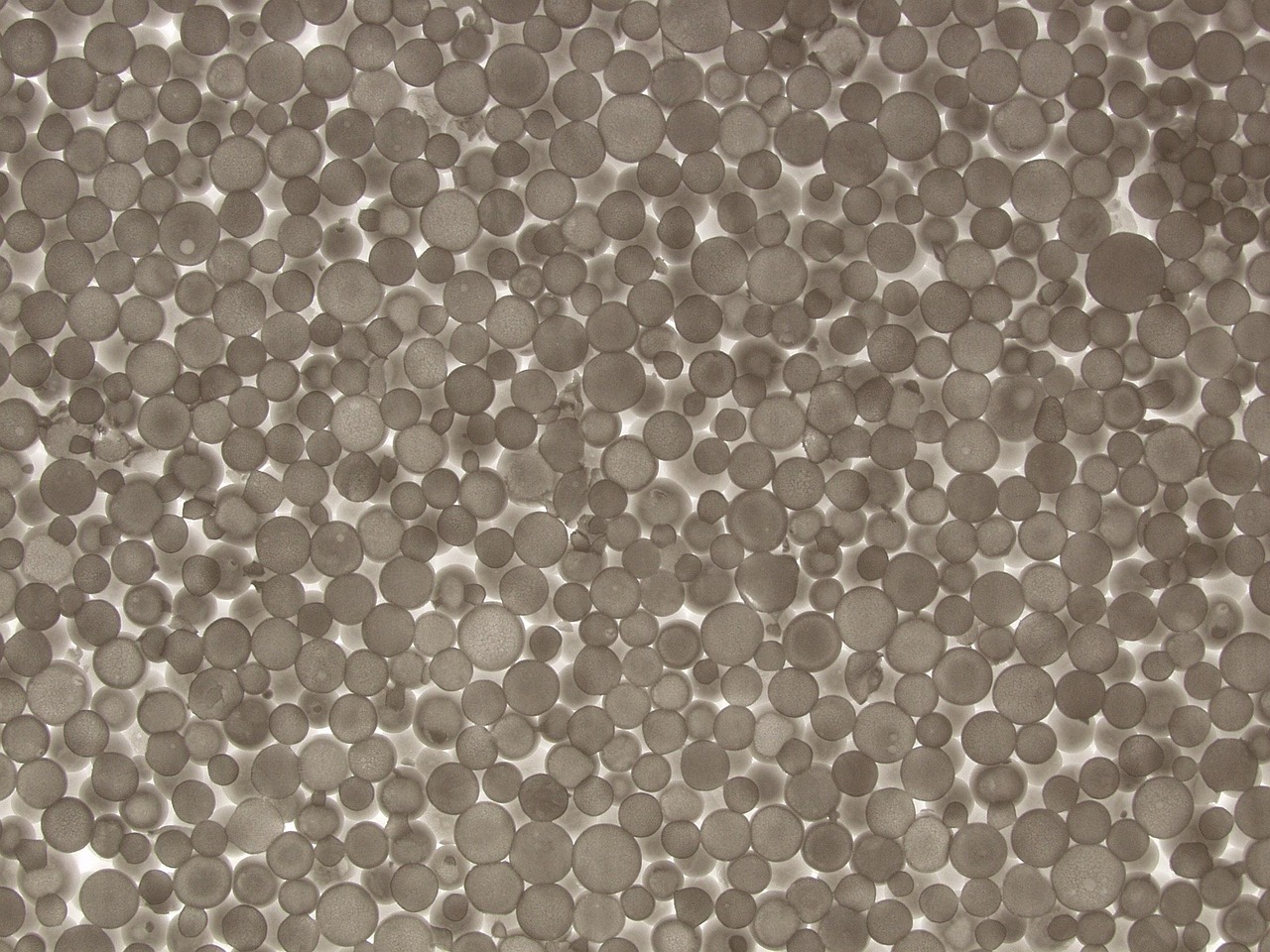 Technology for Chemical Recycling of Contaminated Polystyrene